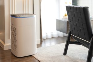How VOC-Free Carpets Can Improve Indoor Air Quality